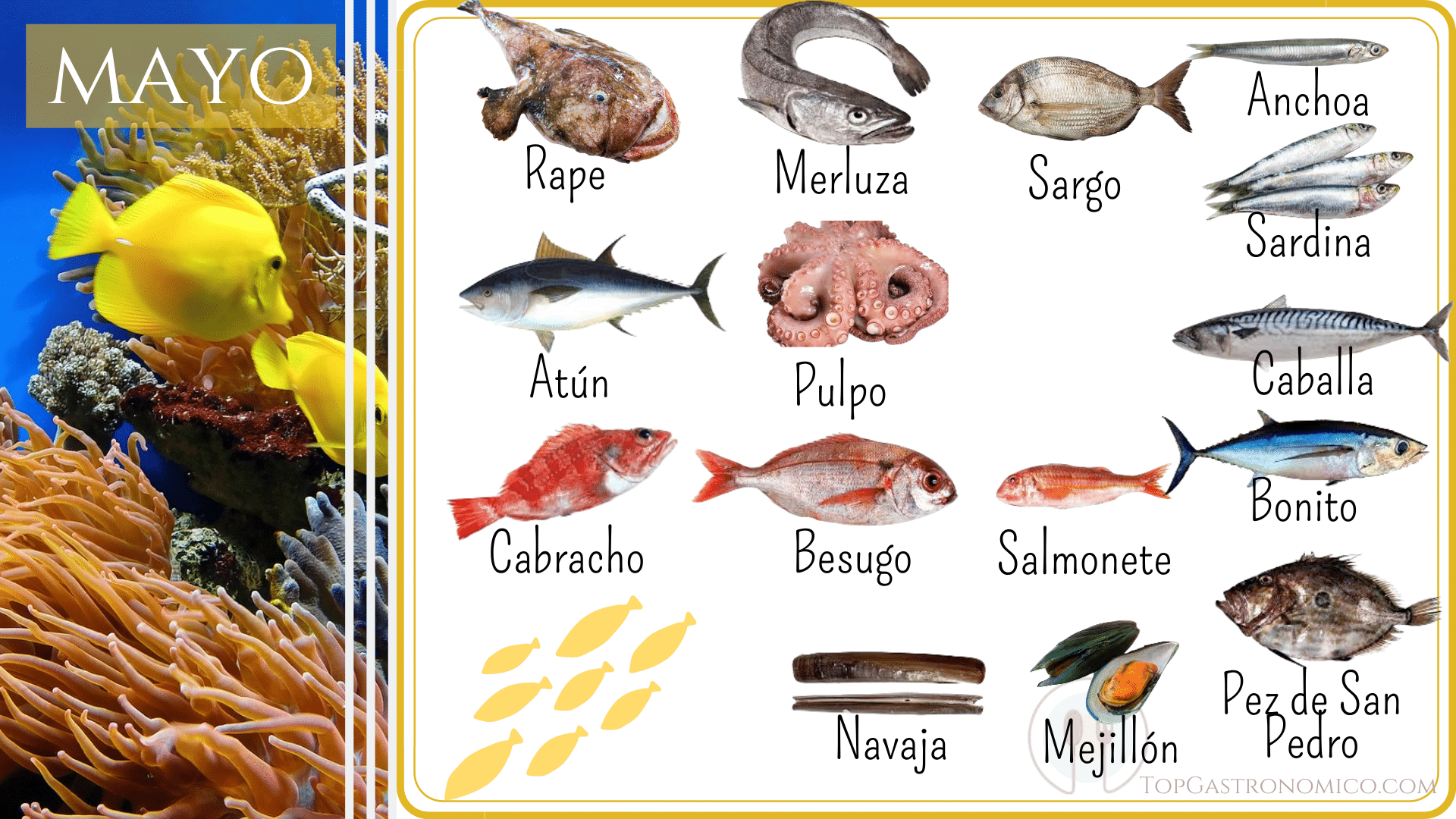 Pescados y Mariscos de Temporada, calendario anual completo